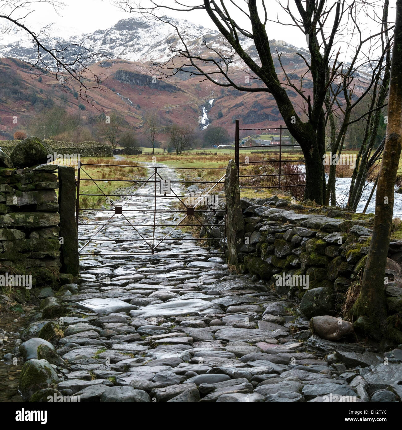 Lake district cobbled track hi-res stock photography and images - Alamy