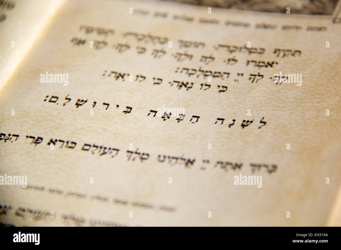 Closeup of Hebrew text in traditional vintage Passover haggadah "Next ...