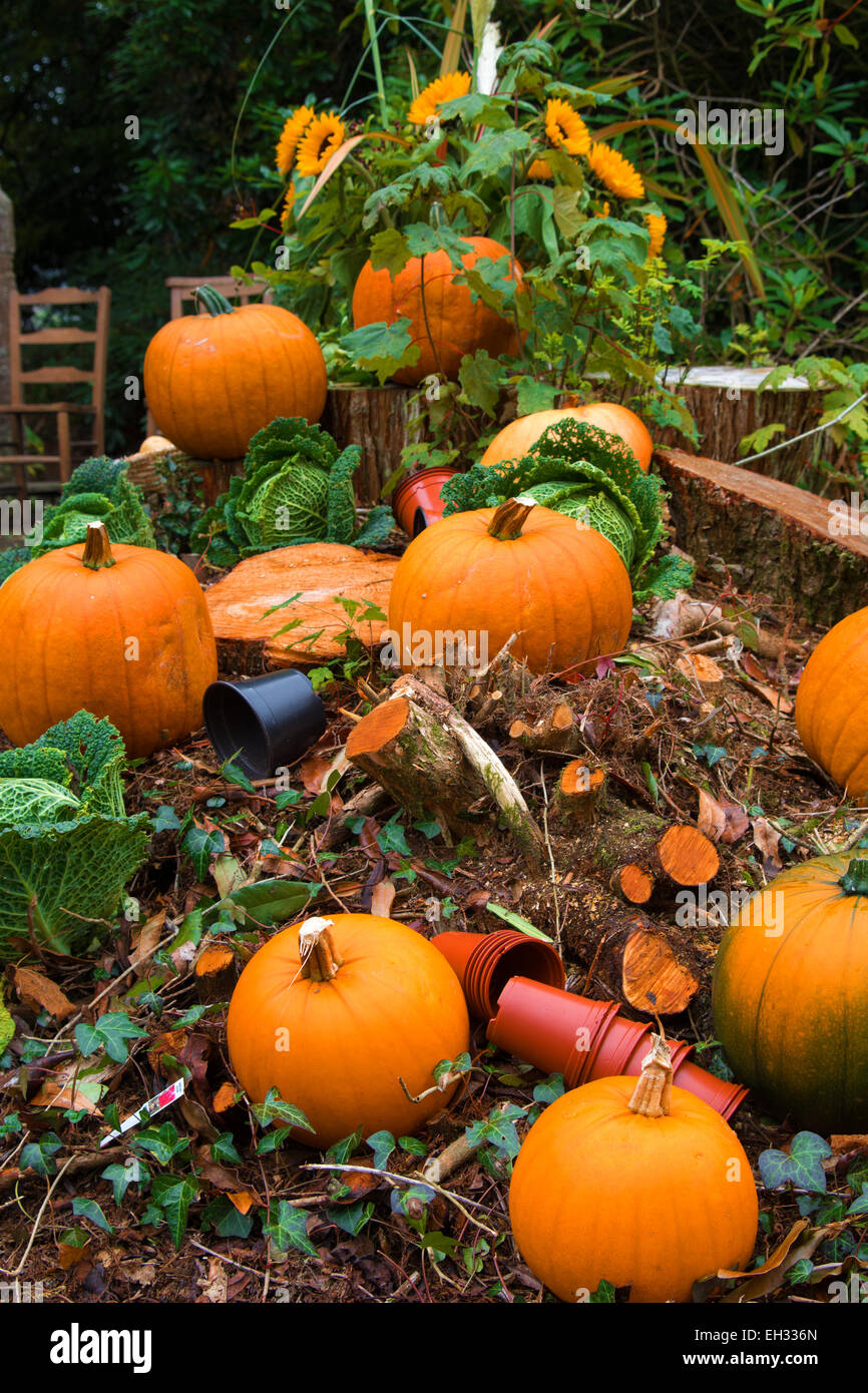 Beautiful autumn garden pumpkins hi-res stock photography and images ...