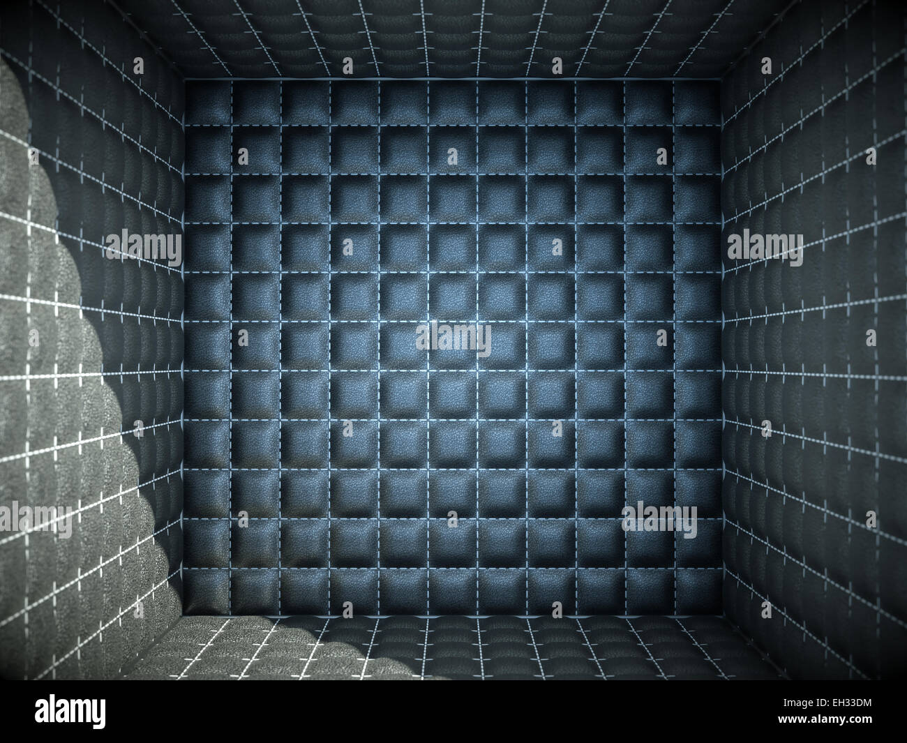 Isolation and segregation: Soft room concept. Black stitched leather ...