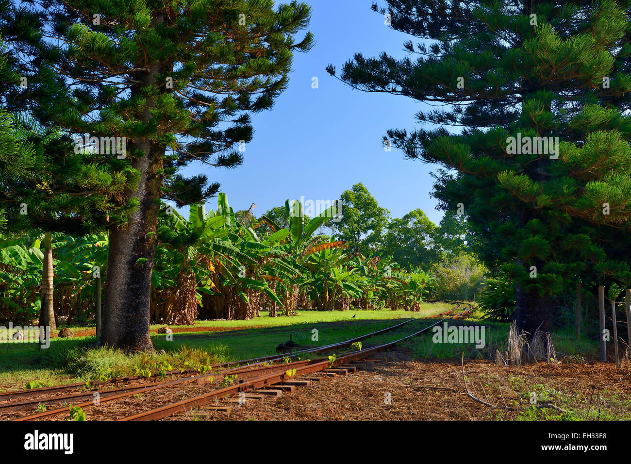 Kilohana plantation hi-res stock photography and images - Alamy