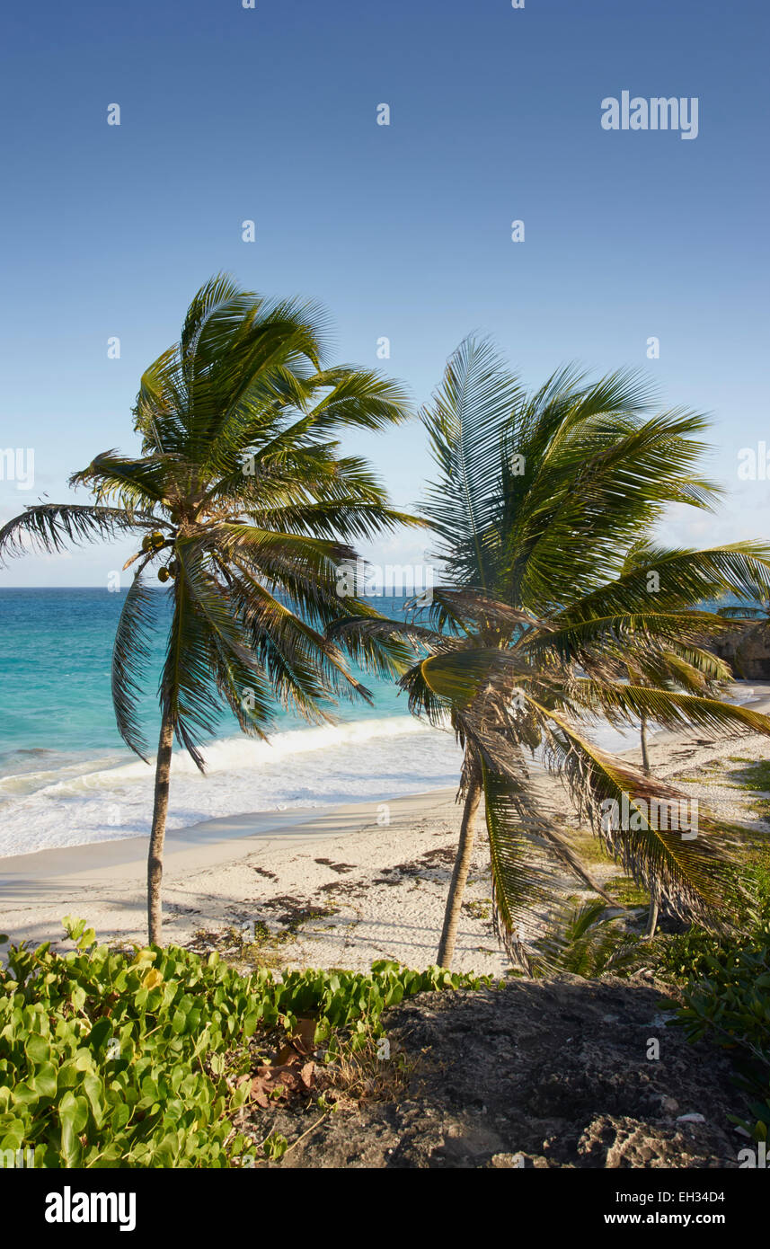 Barbados beach, turquoise sea, blue sky, fluffy white clouds. Lone ...