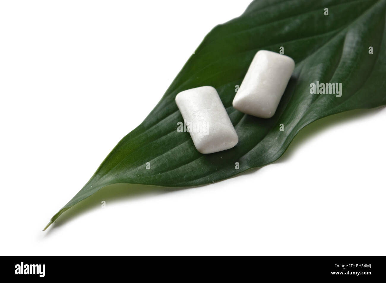 chewing gum on a green leaf isolated on a white background Stock Photo ...