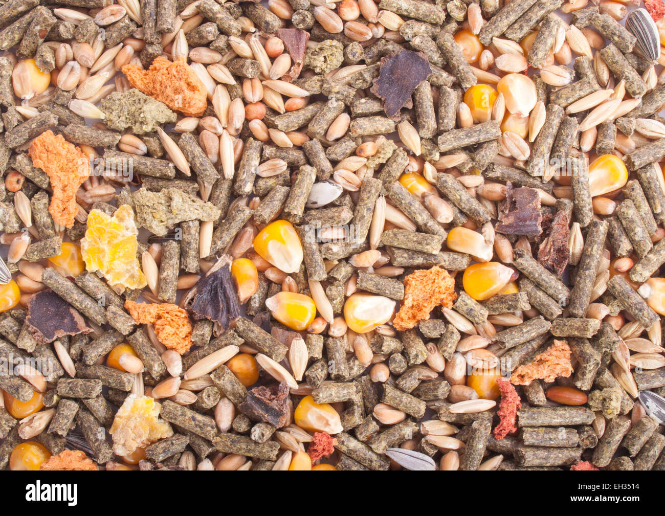 Rabbit food background hi-res stock photography and images - Alamy
