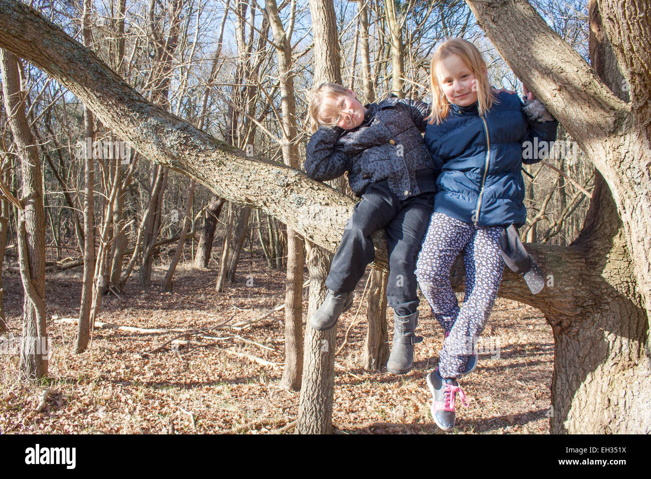 two girls in tree in a big forest with blue sky Stock Photo - Alamy