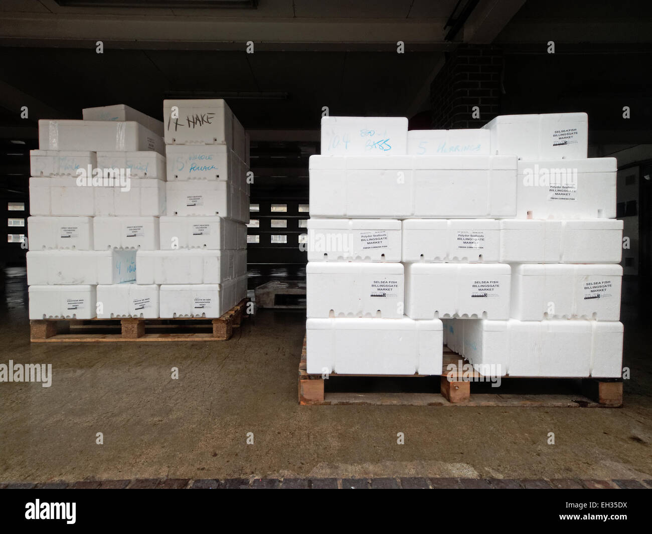 Cornish fish packed for London on pallets at Looe Fish market Cornwall ...