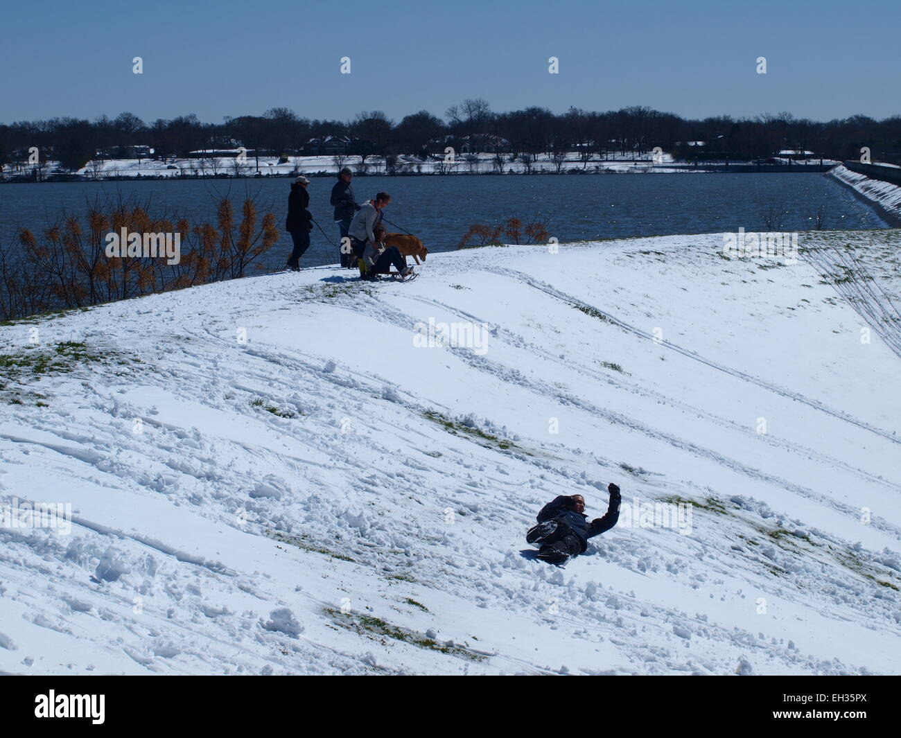 Dallas Snow and Snowball Fight Stock Photo - Alamy
