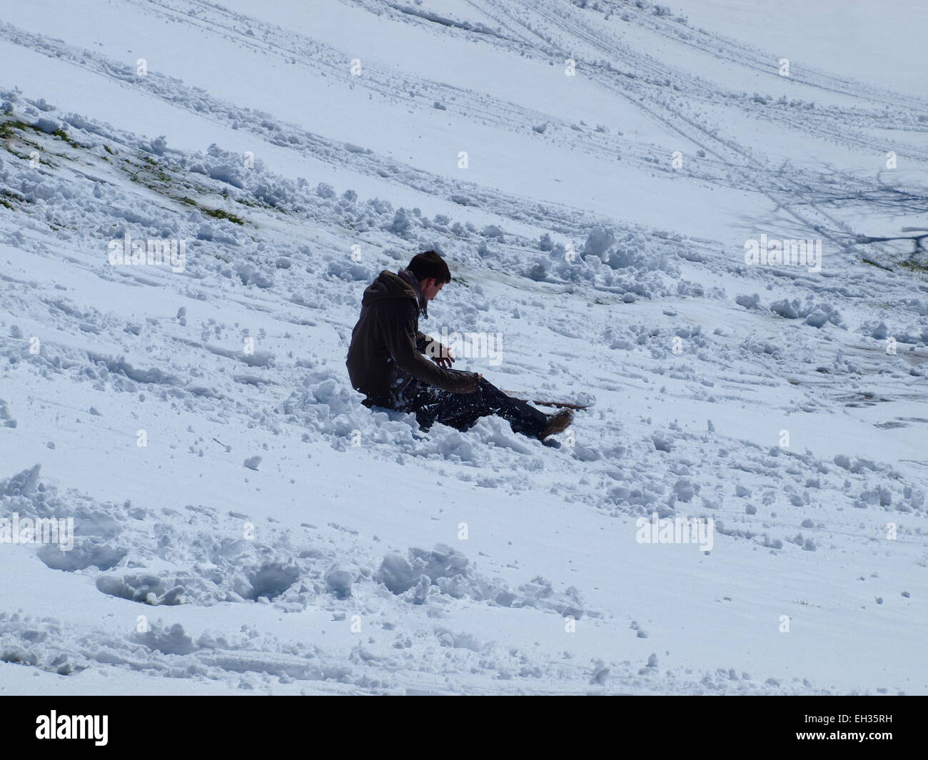 Dallas Snow and Snowball Fight Stock Photo - Alamy