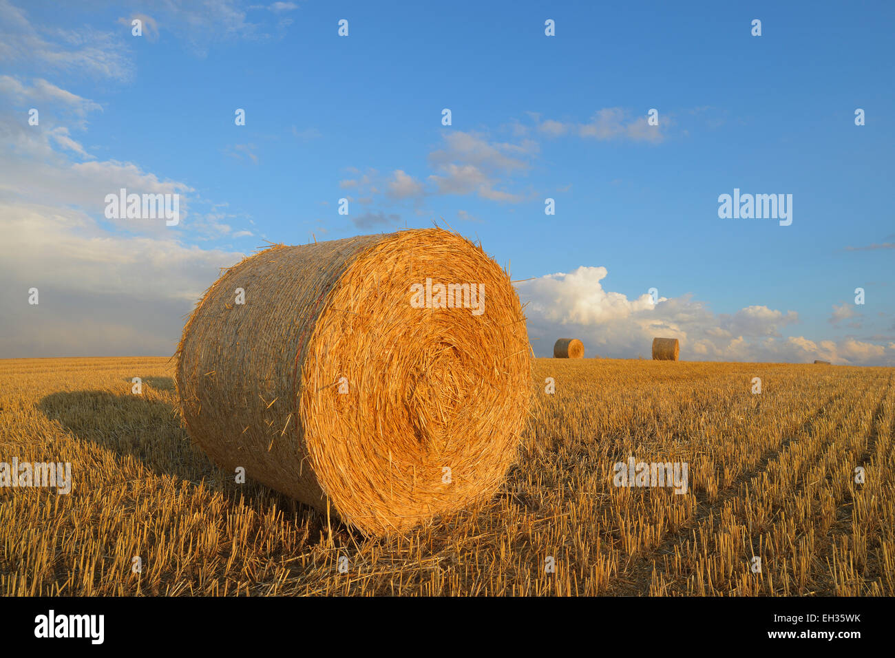 Stubblefield hi-res stock photography and images - Alamy