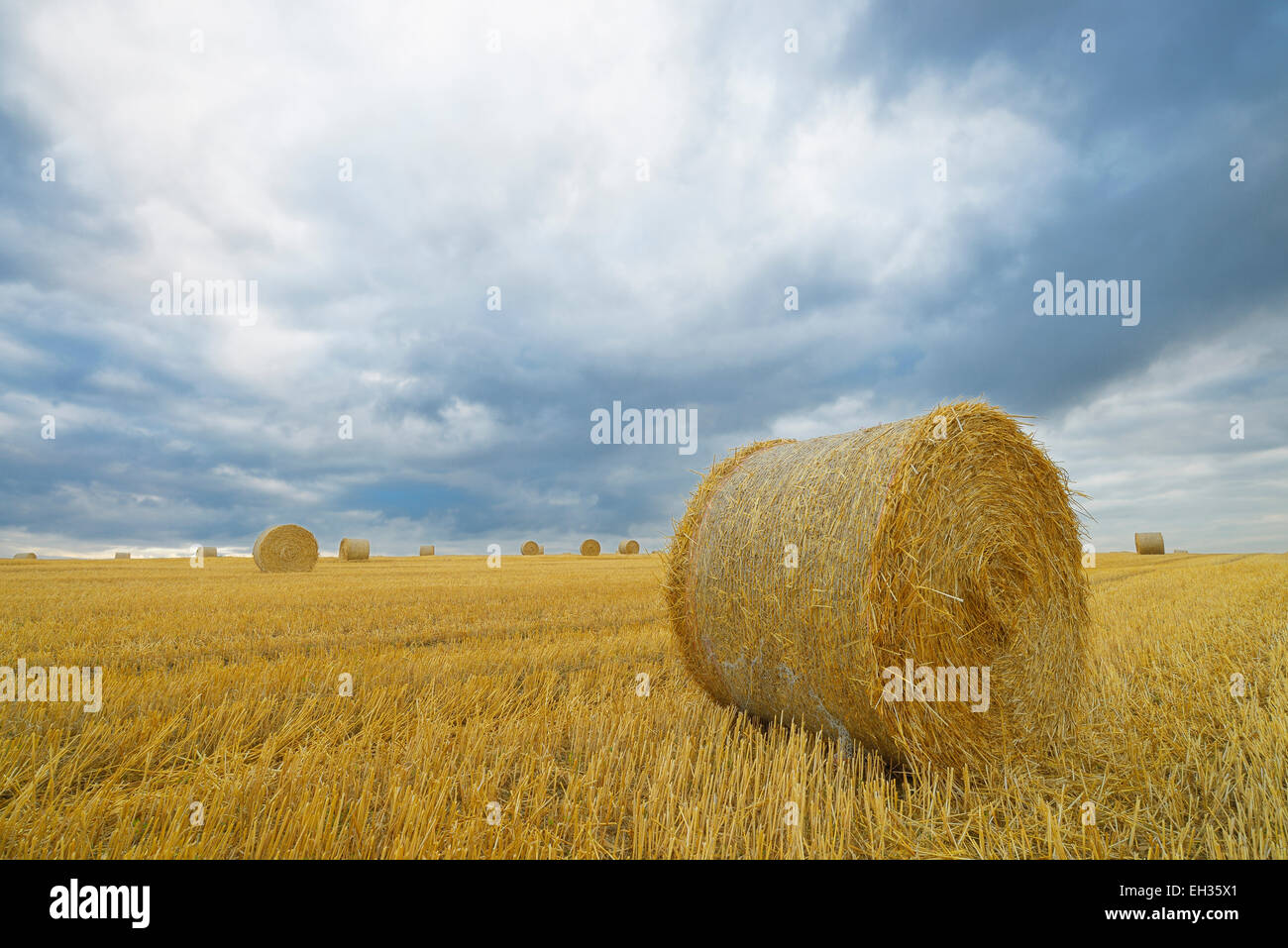 Straw formation hi-res stock photography and images - Alamy