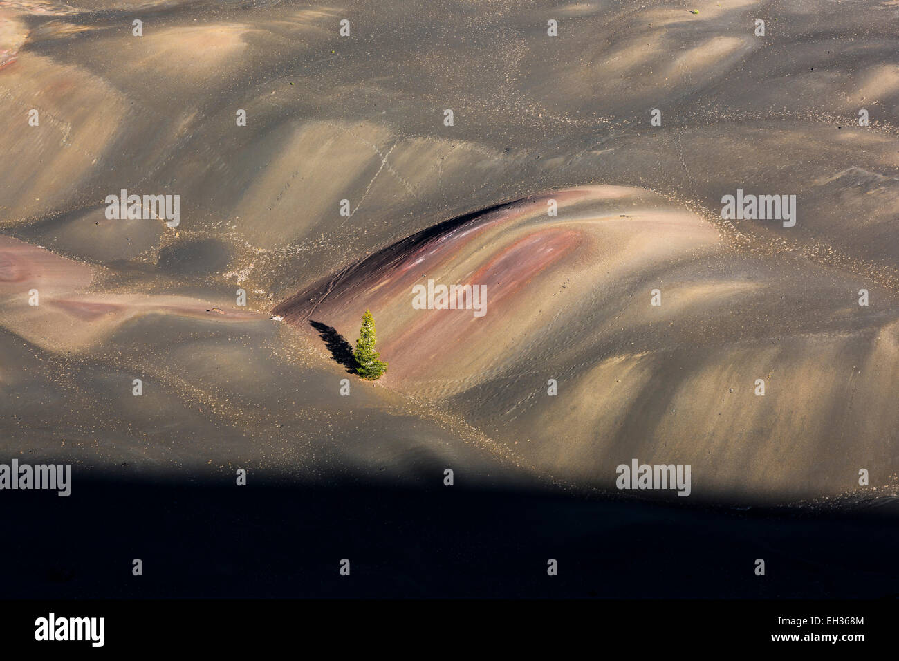 The Painted Dunes, colored by oxidation of cinders and ash, viewed from ...