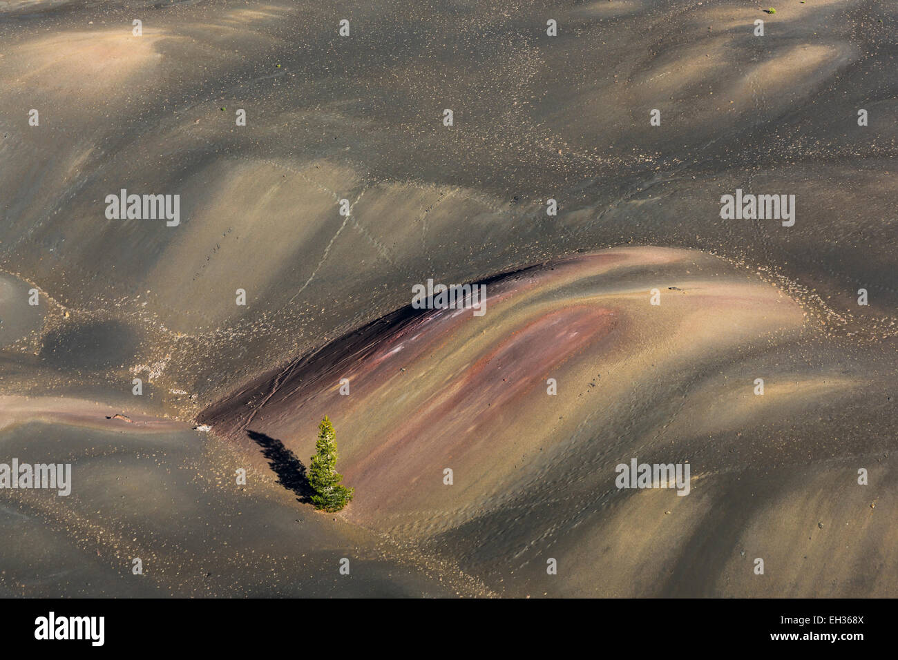 The Painted Dunes, colored by oxidation of cinders and ash, viewed from ...