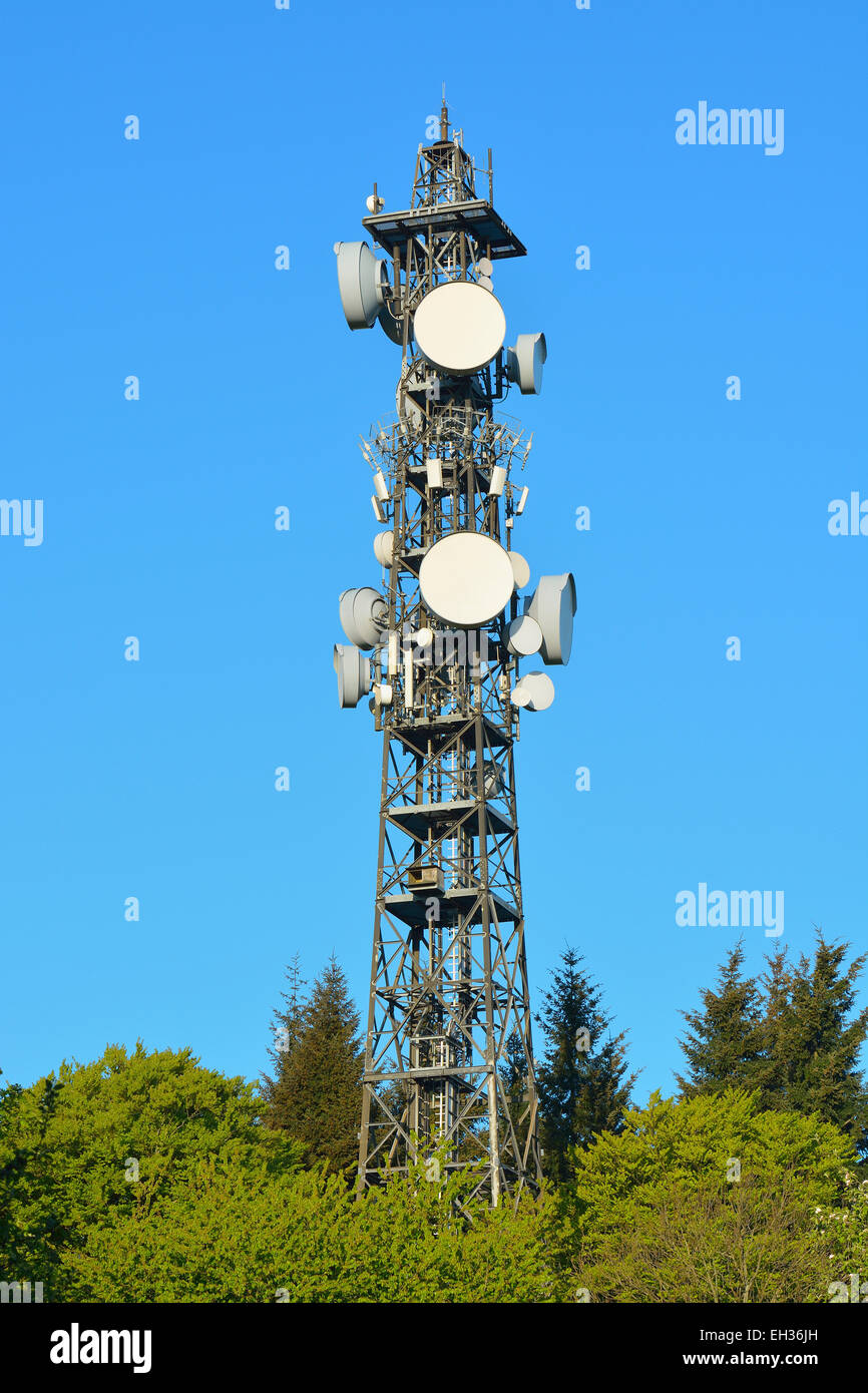 Cell tower tree hi-res stock photography and images - Alamy
