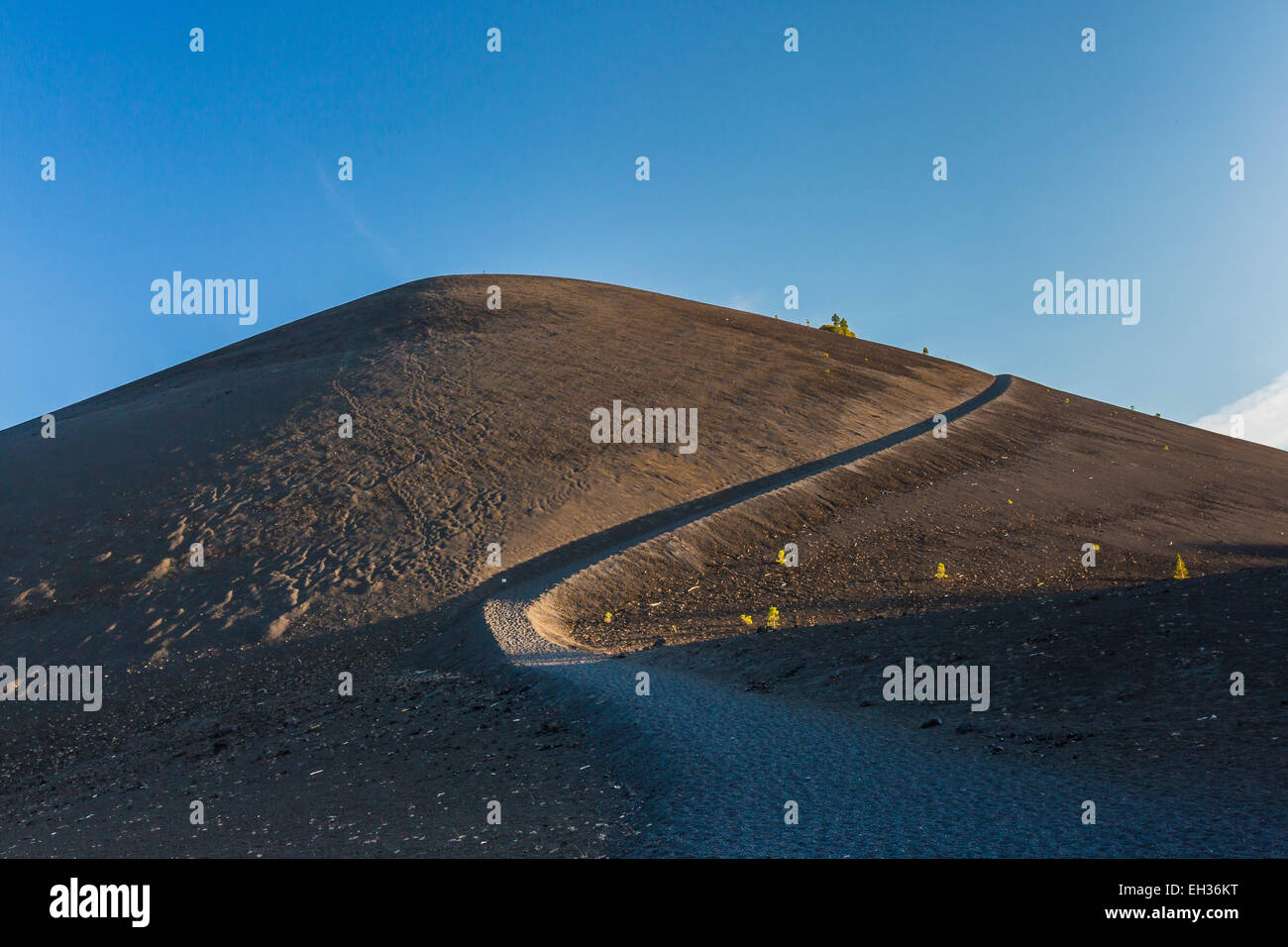 Cinder Cone Trail to the summit of Cinder Cone in late afternoon light ...