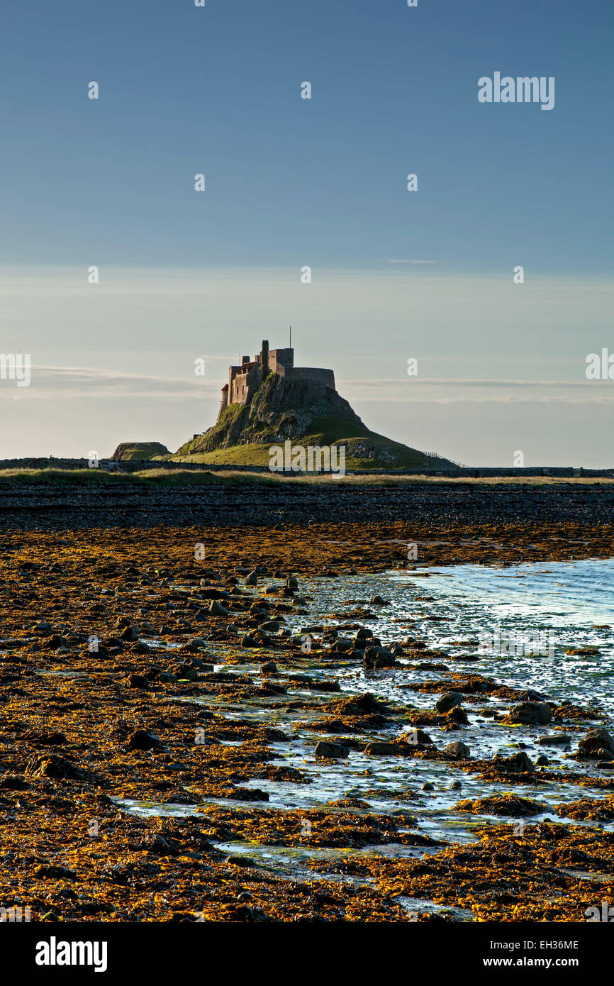 Lindisfarne Castle, Holy Island, England, United Kingdom Stock Photo ...