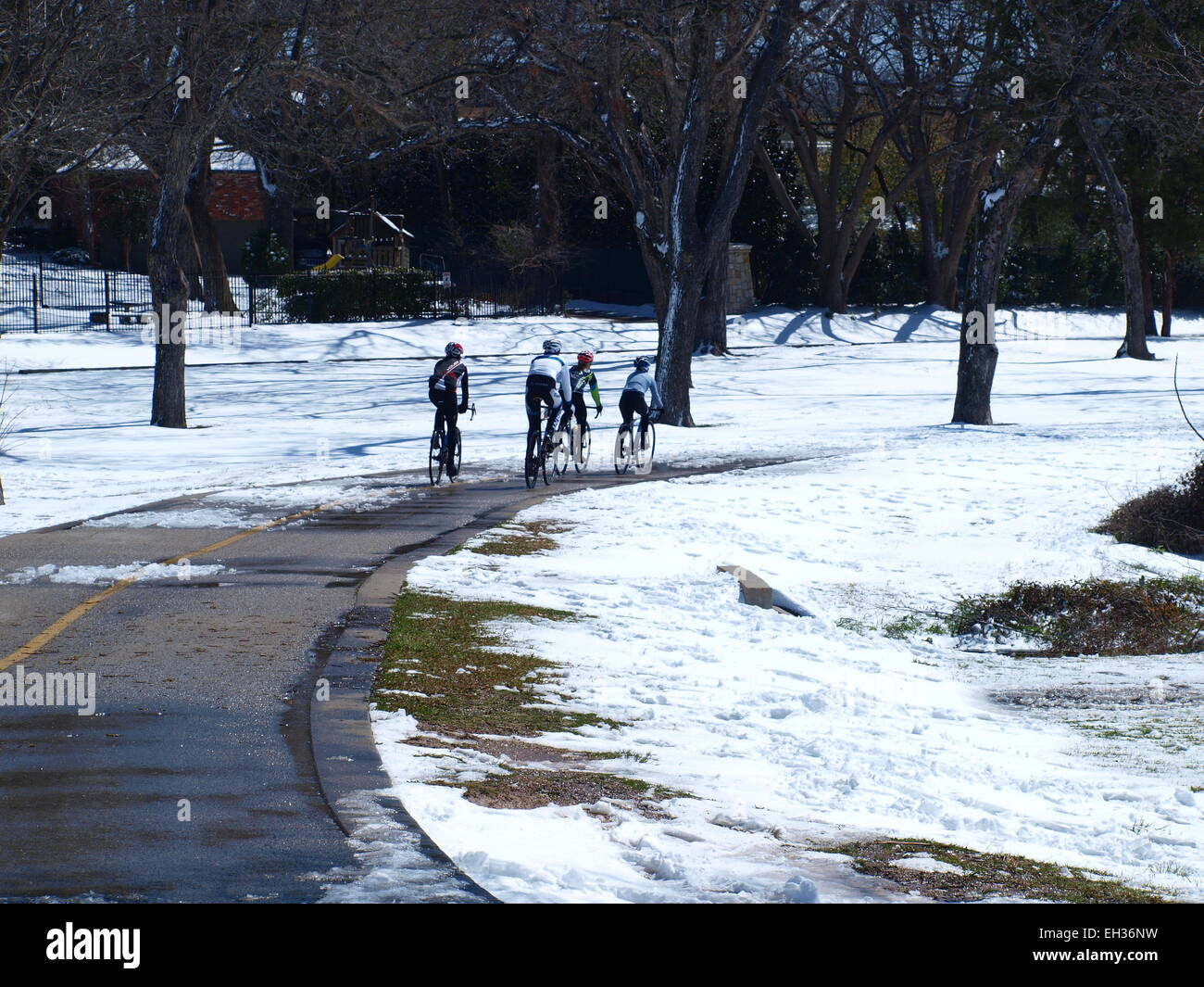 Dallas Snow and Snowball Fight Stock Photo - Alamy