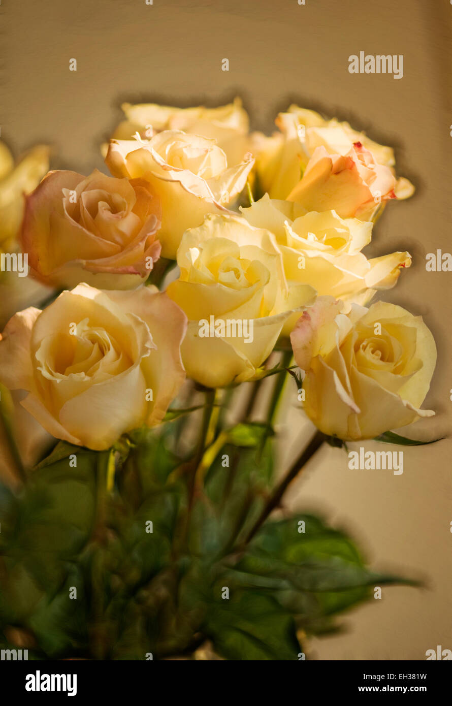 Bunch of yellow rose flowers Stock Photo - Alamy
