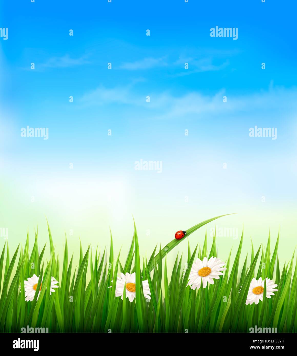 Spring background with sky, flowers, grass and a ladybug. Vector Stock ...