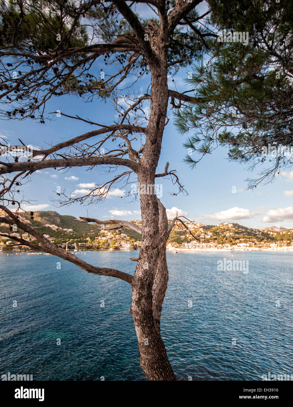 Landscape of the island of Mallorca in Spain Stock Photo - Alamy