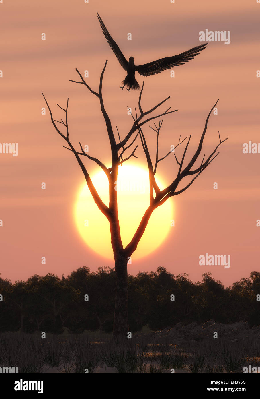 eagle perched on a dead tree at dawn Stock Photo - Alamy