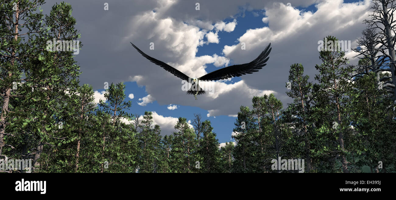 3d illustration flying eagle in a forest Stock Photo - Alamy