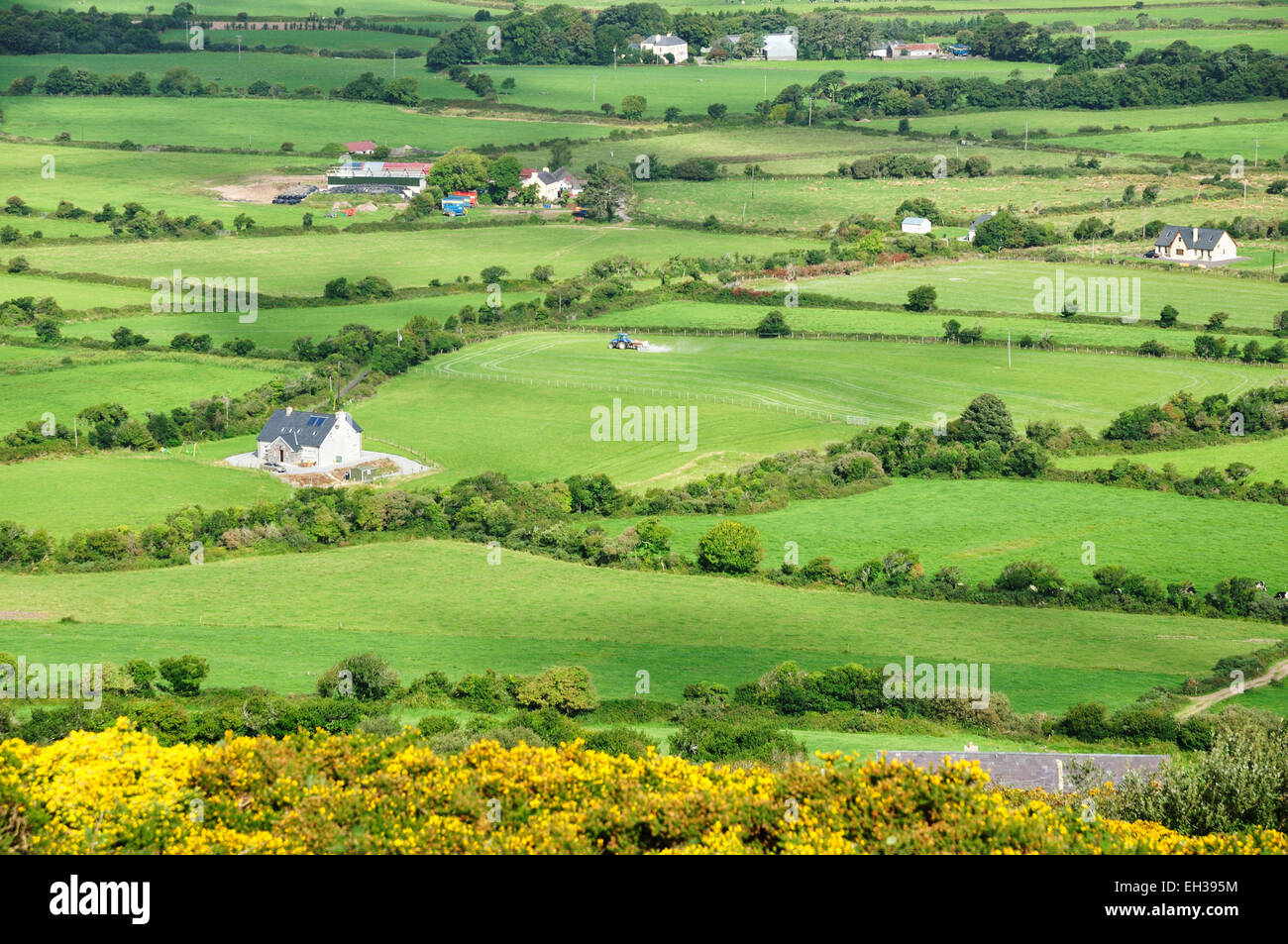 Tralee hi-res stock photography and images - Alamy