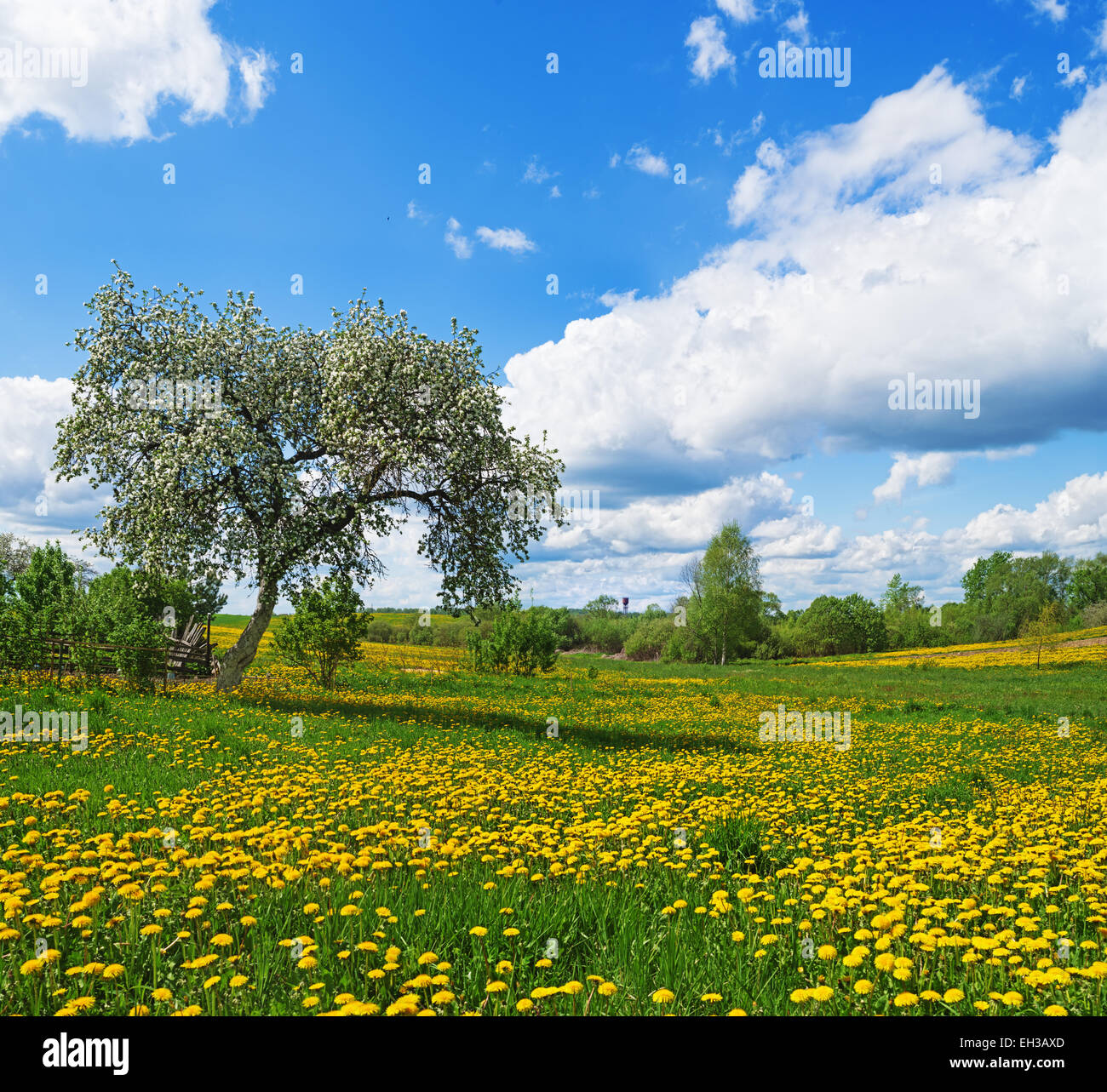 Spring rural landscape Stock Photo - Alamy