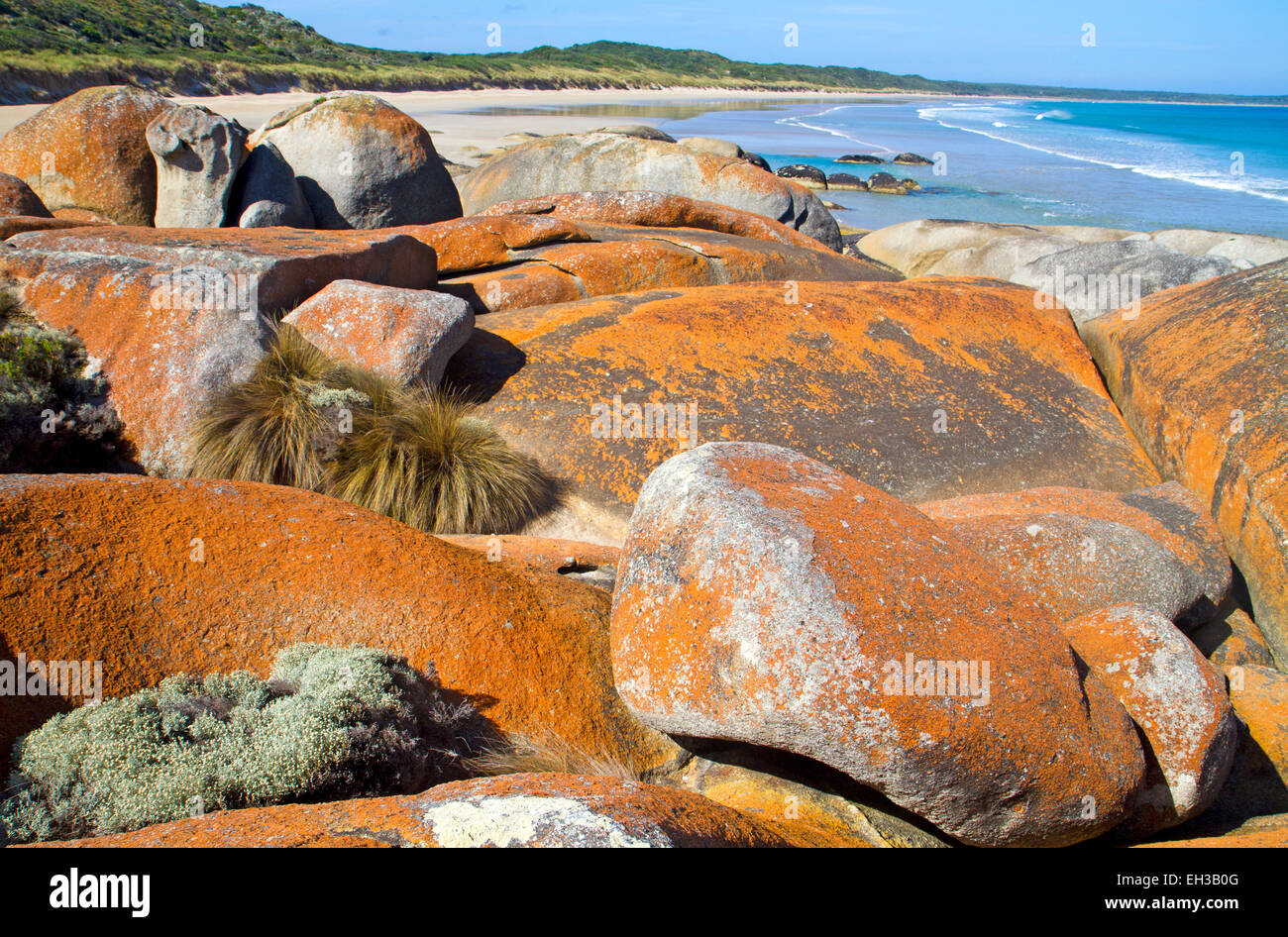 Three hummock island australia hi-res stock photography and images - Alamy