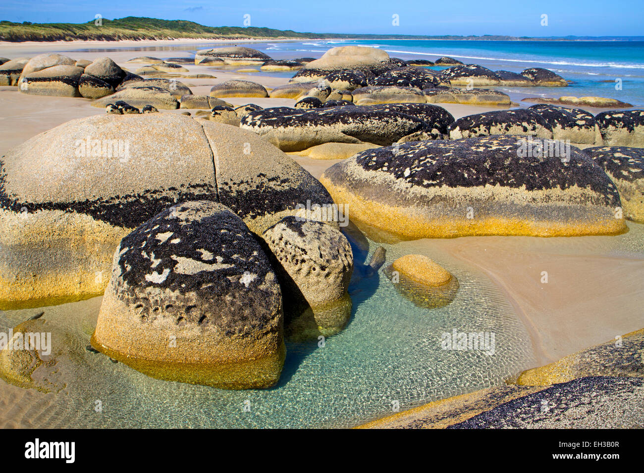 Three Hummock Island Australia High Resolution Stock Photography and ...