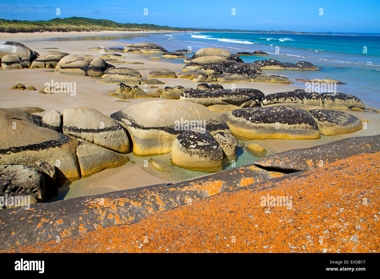 Beach on Three Hummock Island Stock Photo - Alamy