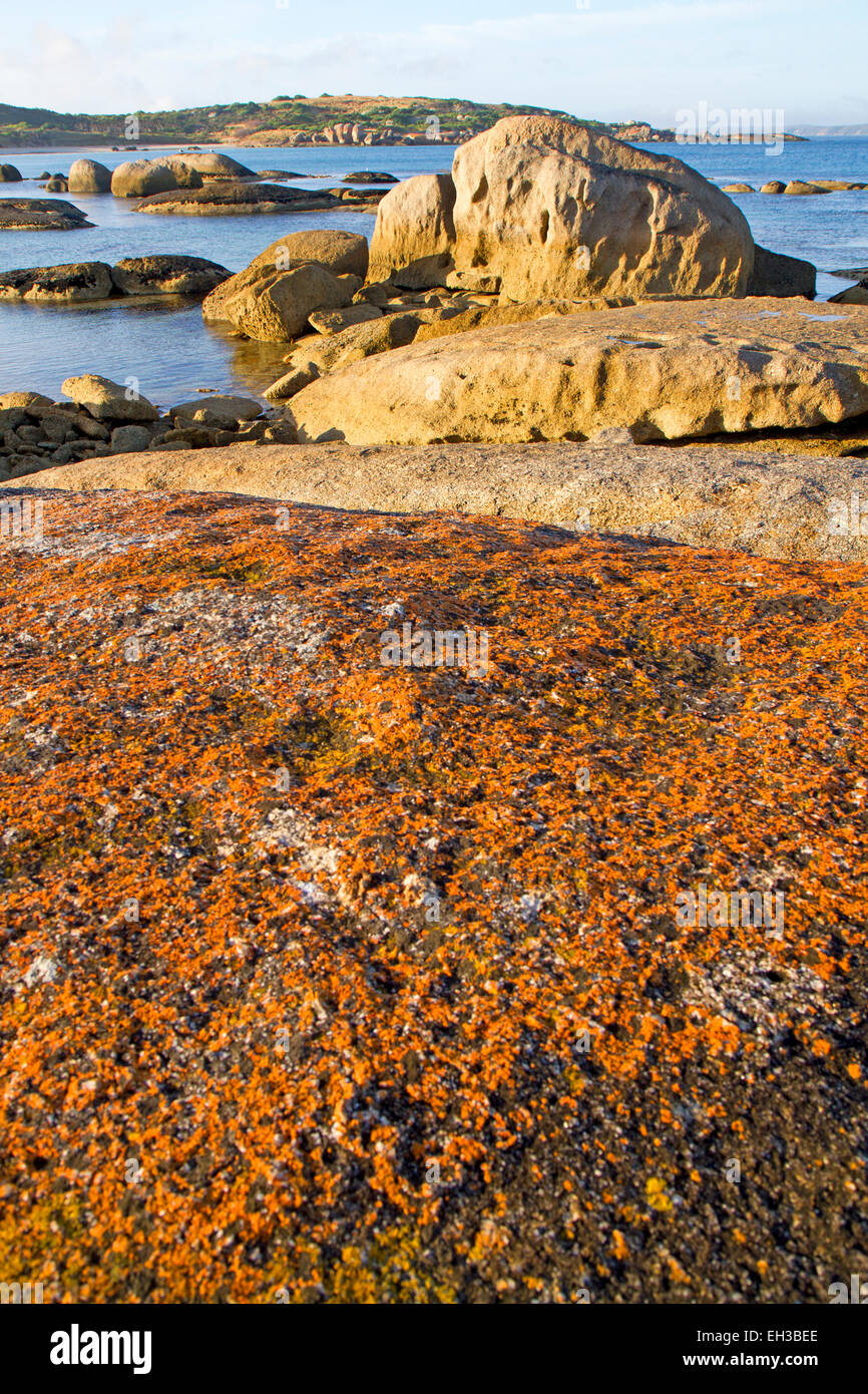 Three Hummock Island Australia High Resolution Stock Photography and ...