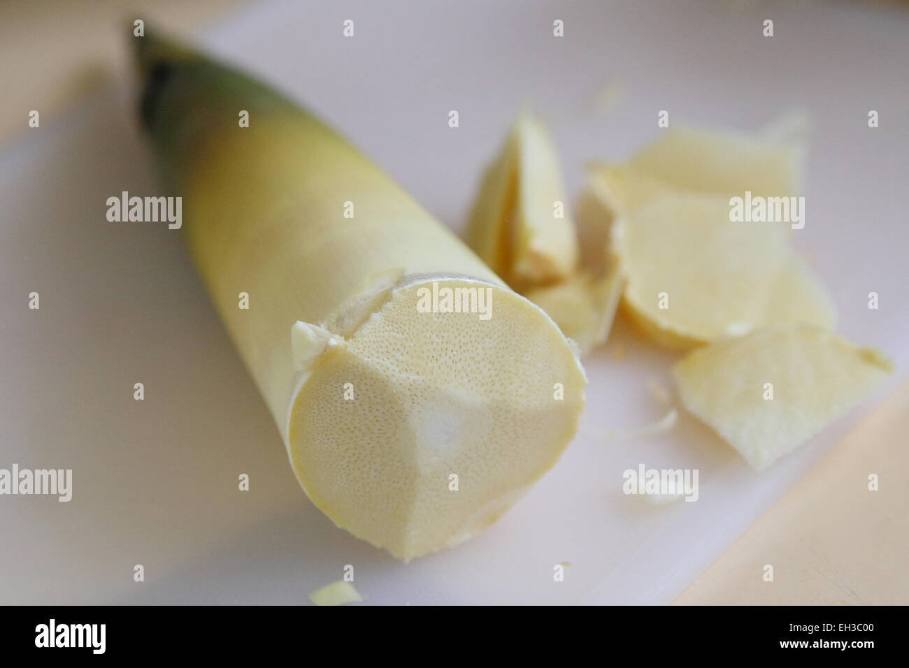 Inside of bamboo hi-res stock photography and images - Alamy