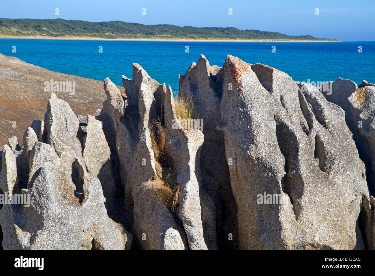 Rocky coastline on Three Hummock Island Stock Photo - Alamy