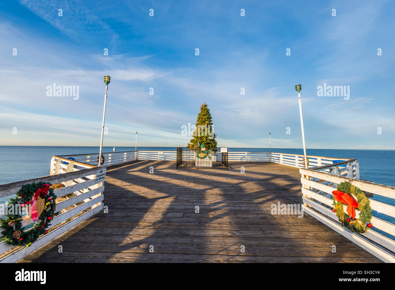 Coastal christmas tree hi-res stock photography and images - Alamy