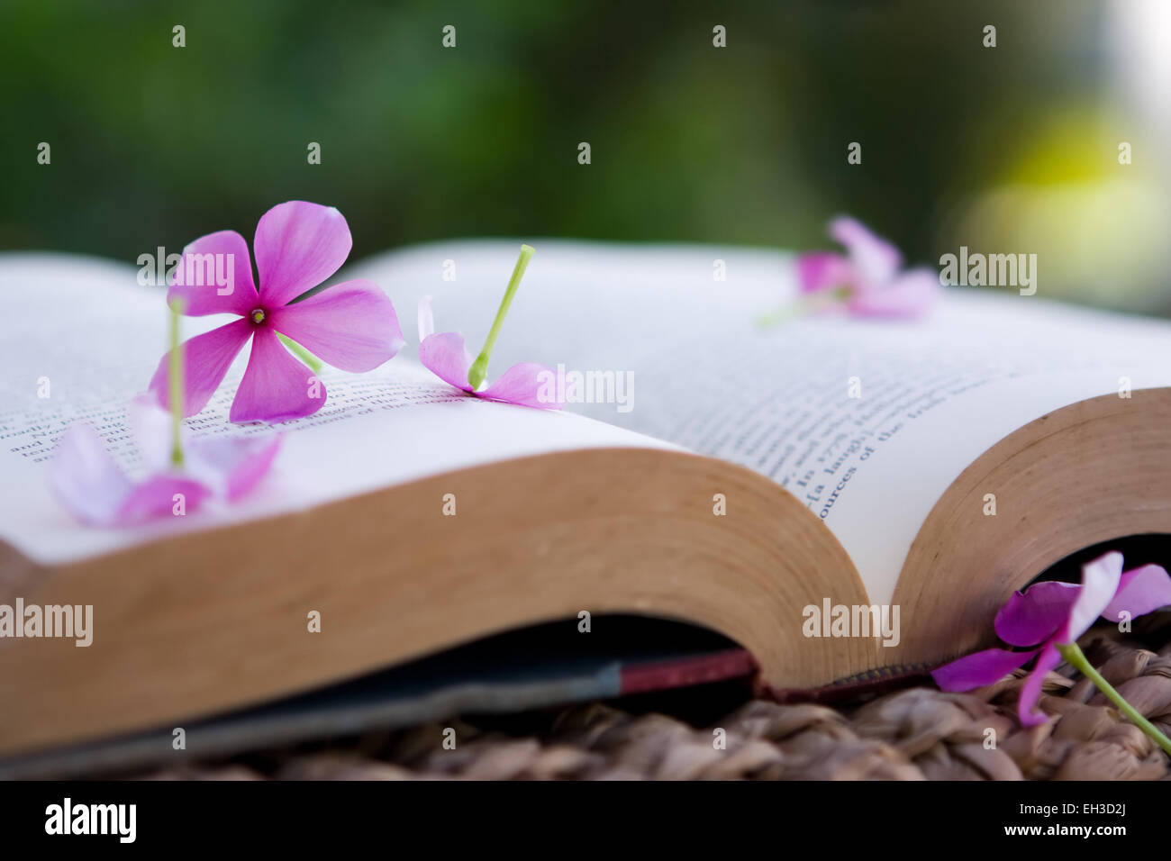 Old open faced book hi-res stock photography and images - Alamy