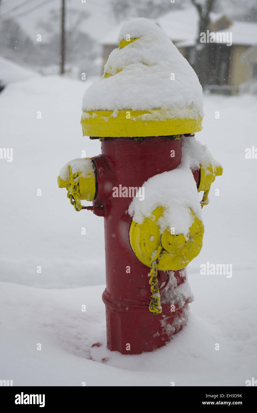 Merrick, New York, USA. 5th Mar, 2015. A red and yellow fire hydrant ...