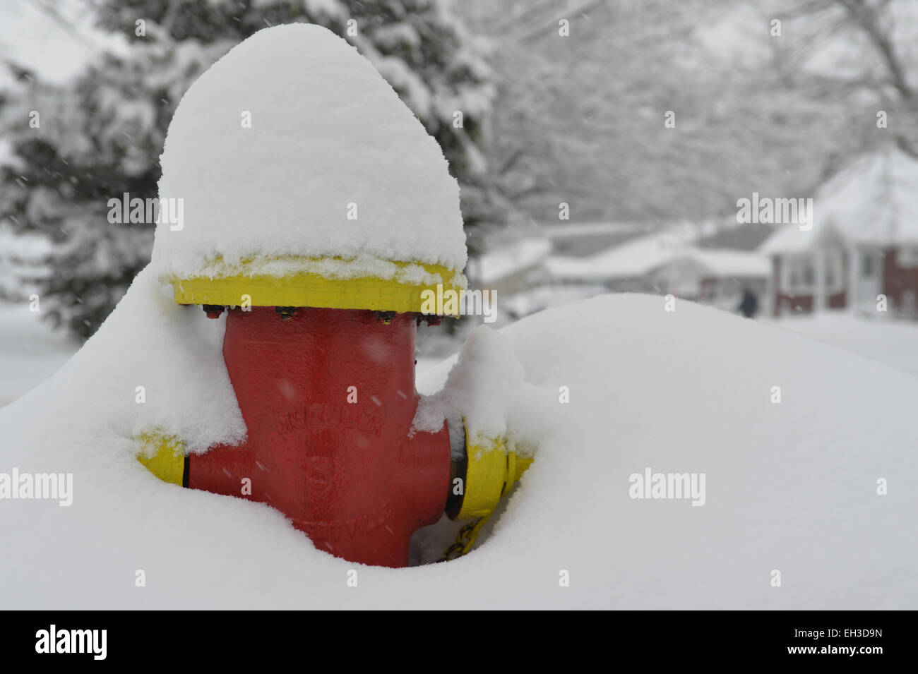 Merrick, New York, USA. 5th Mar, 2015. A red and yellow fire hydrant is ...