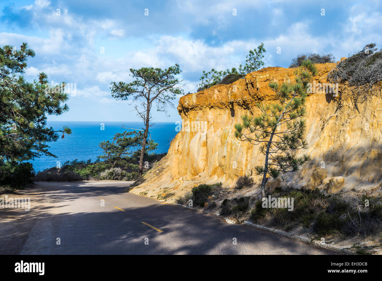 Sandstone cliff and paved road running through the Torrey Pines State ...