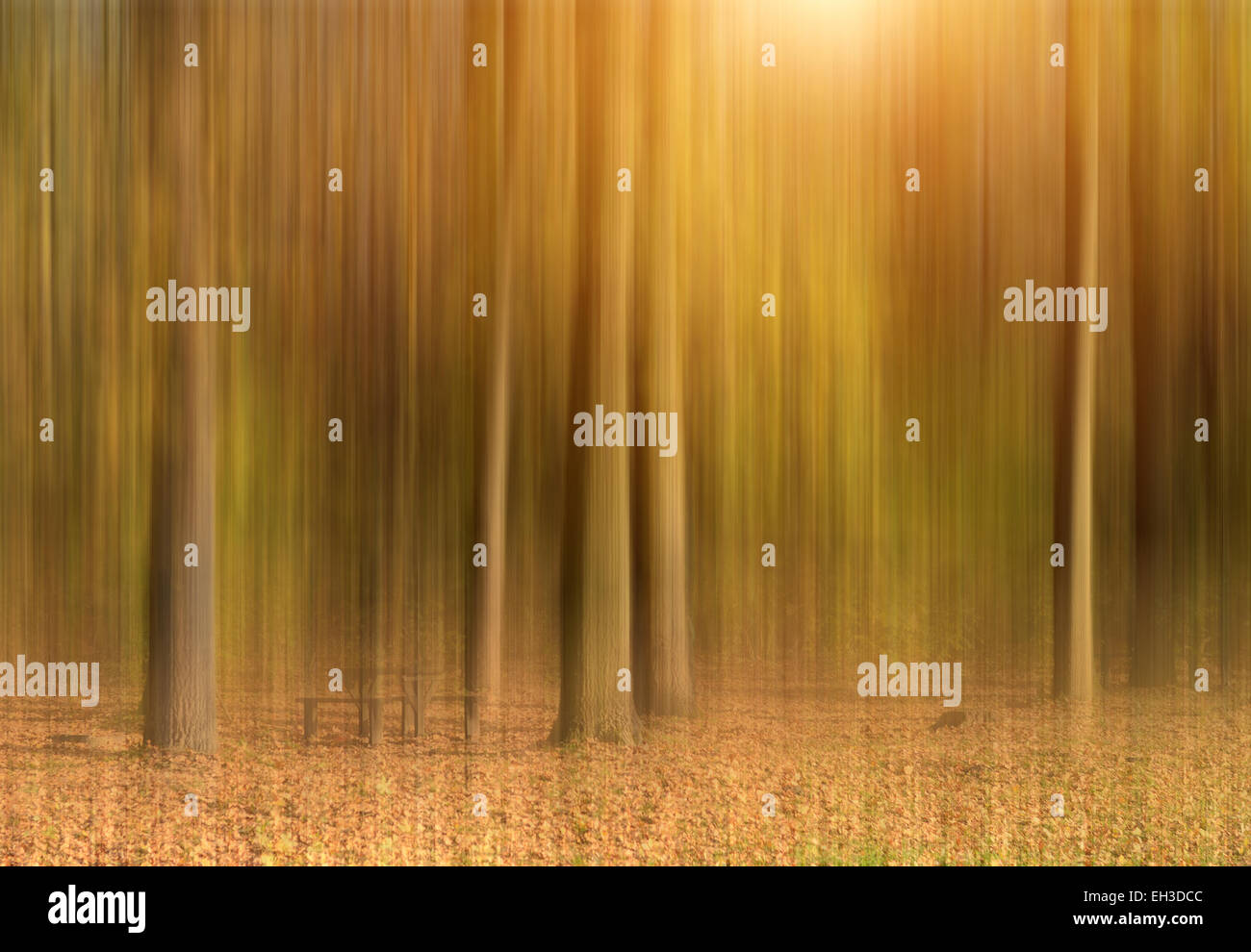 Abstract autumn forest hi-res stock photography and images - Alamy