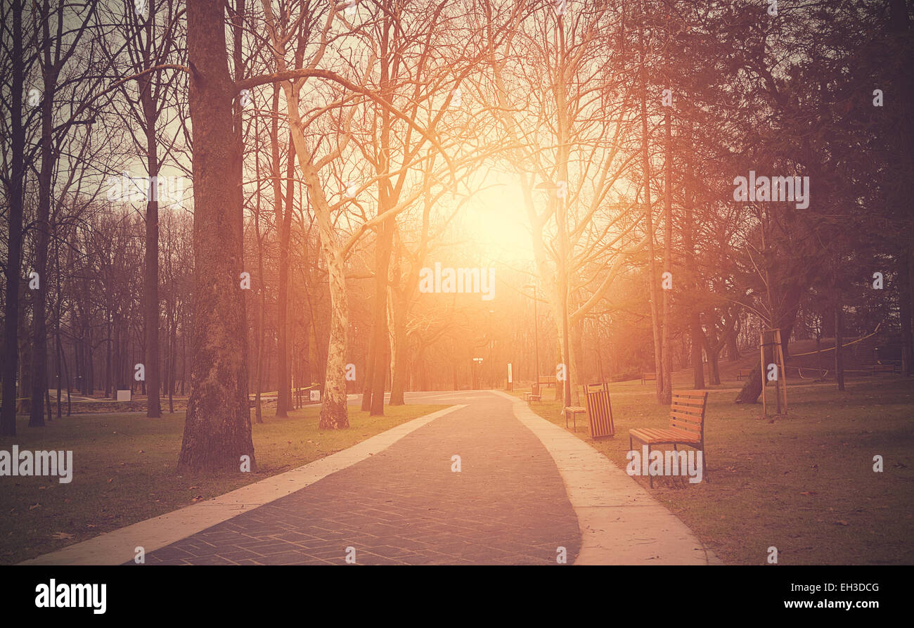Vintage photo of a park in sunset Stock Photo - Alamy