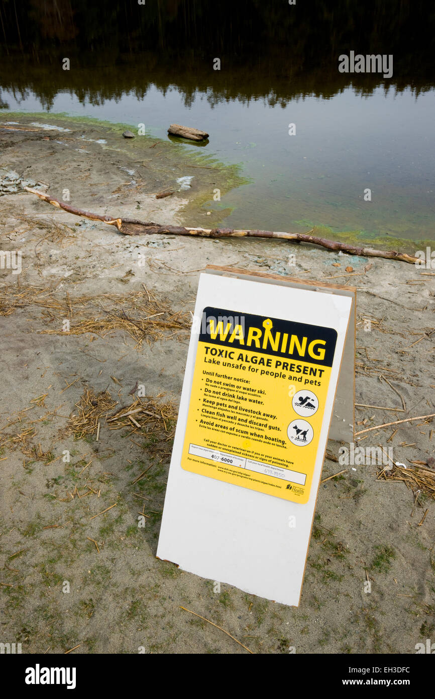 Blue Green Algae Warning Sign High Resolution Stock Photography and ...