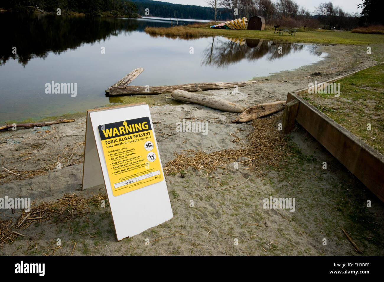 Toxic Algae Washington State
