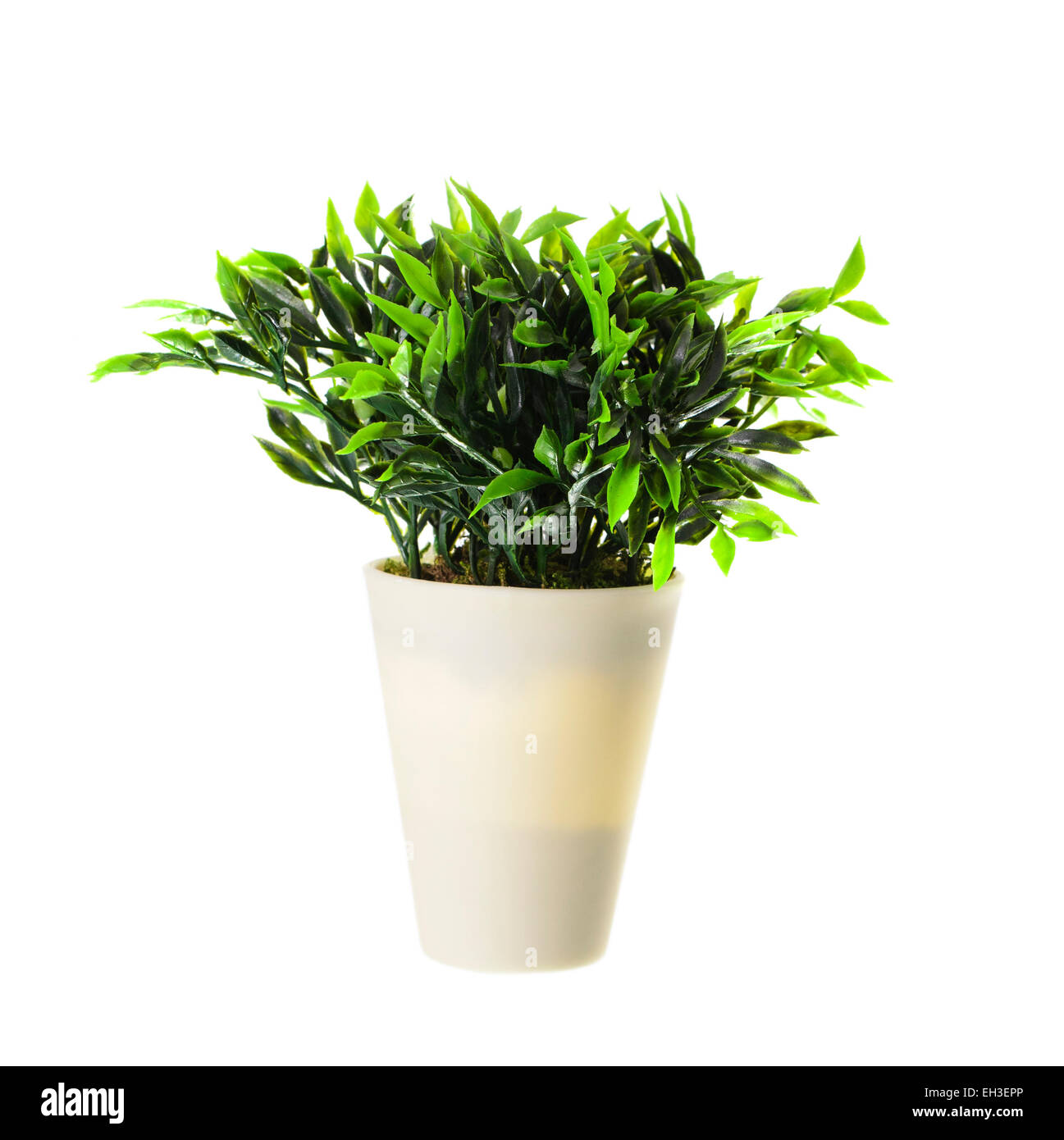 Plants houseplant hi-res stock photography and images - Alamy