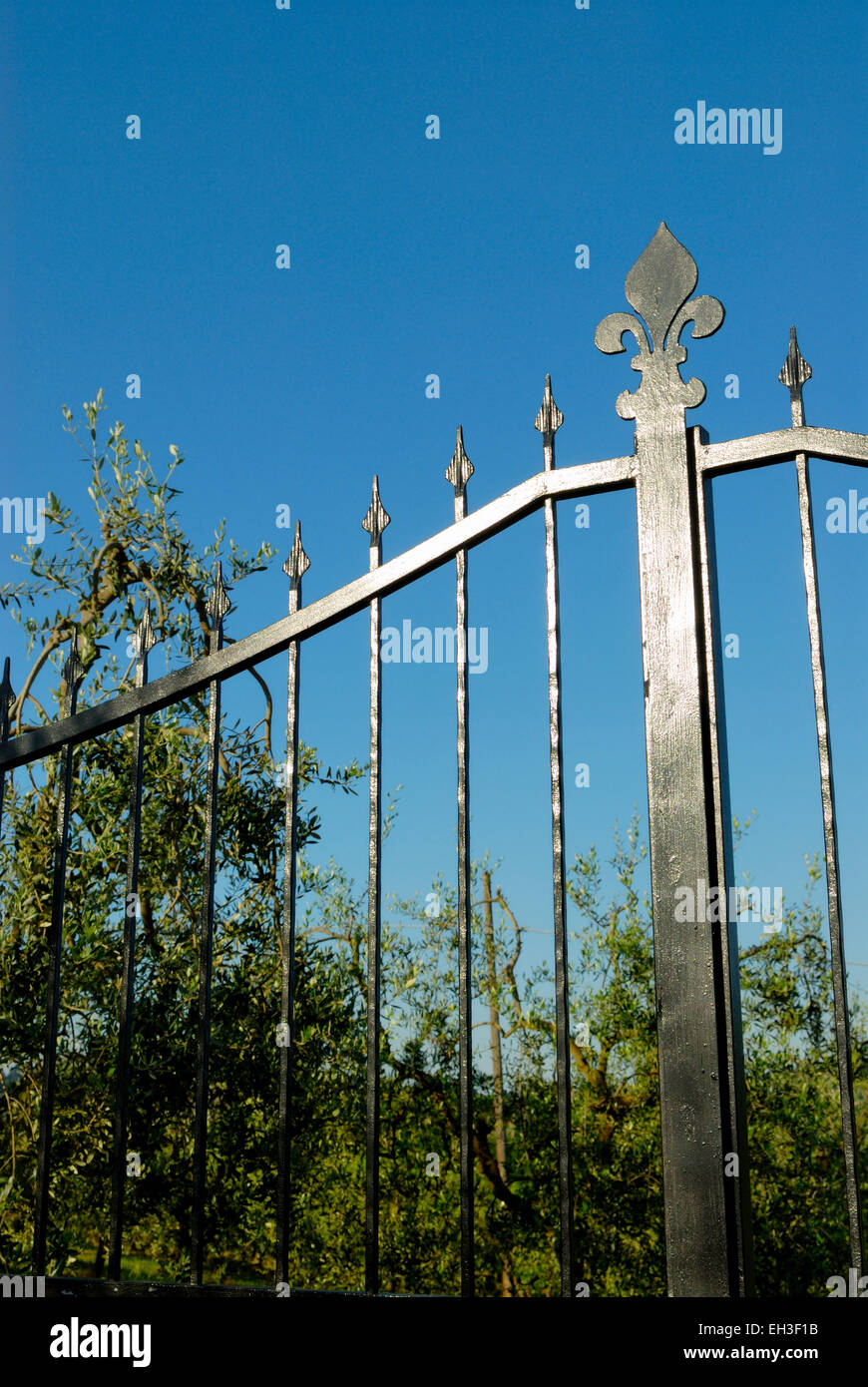 Fence iron spires wrought hi-res stock photography and images - Alamy