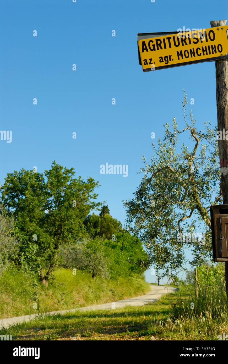 Country road passing through farmland with Agritourism sign, near San ...