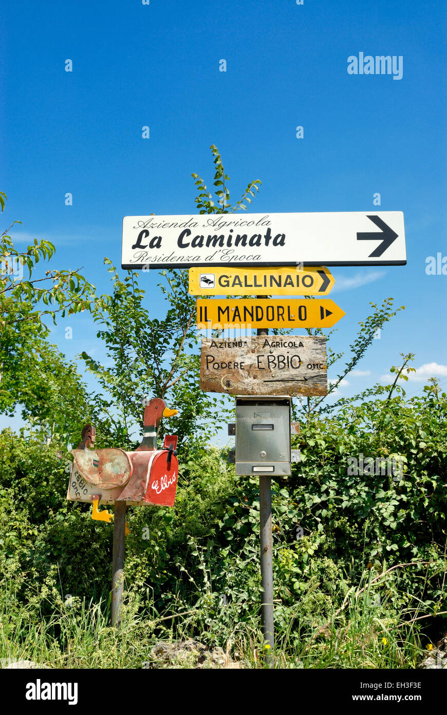 Tuscan Style Signs MAIYUAN Chardonnay Wine Sign, Distressed Wood