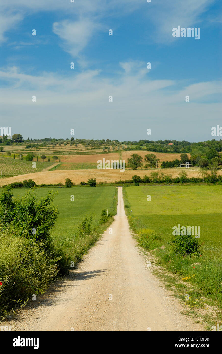Country road through landscape, Tuscany, Italy Stock Photo - Alamy