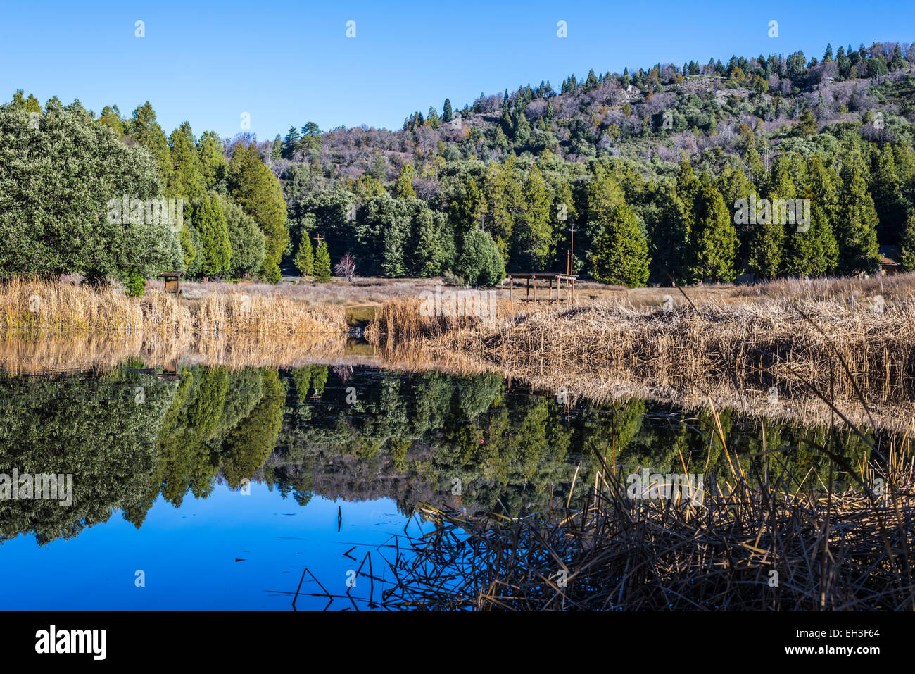 Palomar mountain state park hi-res stock photography and images - Alamy