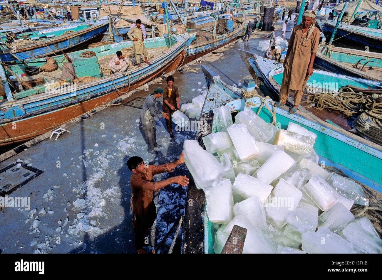 Fisherman crew loading blocks of ice, Port of Karachi, Karachi ...