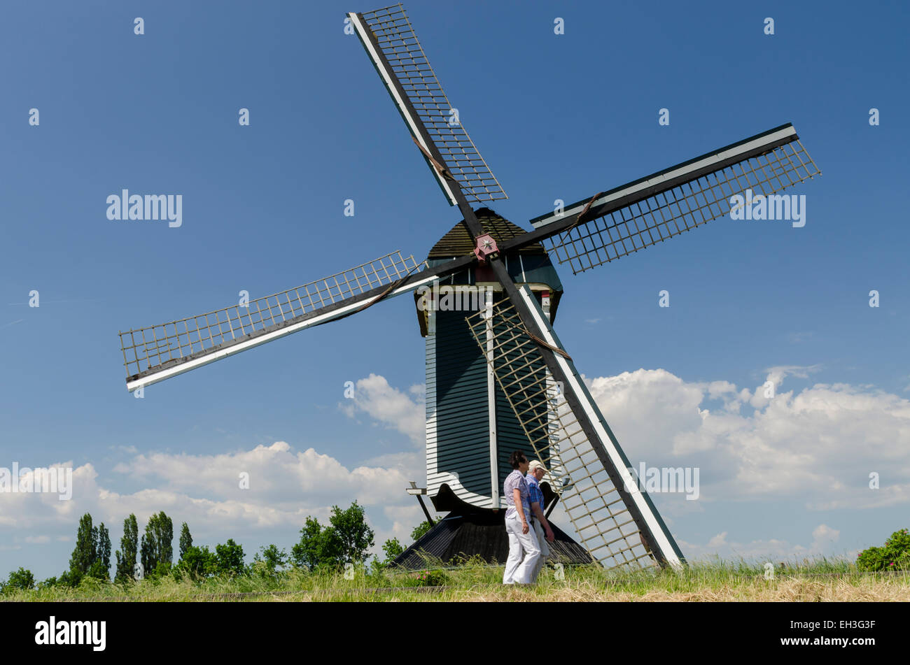 Holland dike windmill hi-res stock photography and images - Alamy